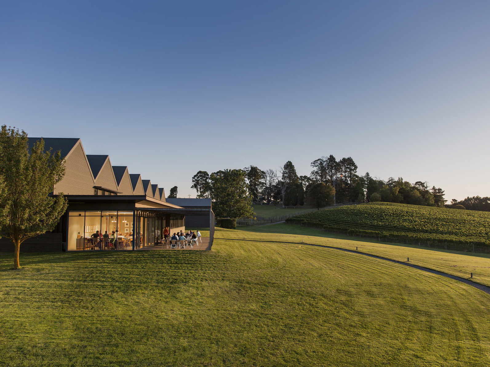 Shaw + Smith | Shaw + Smith Wine | Adelaide Hills, Australia